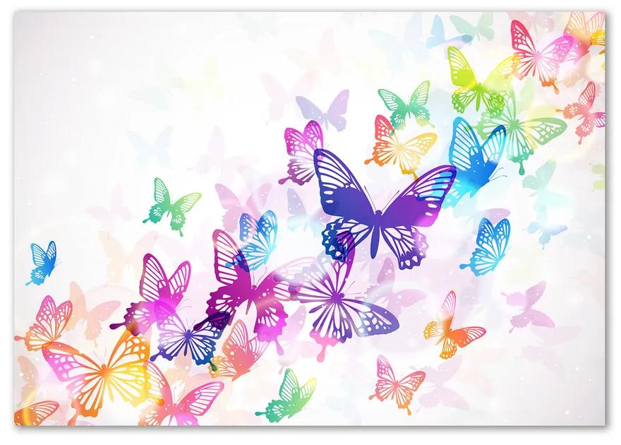 Wallmuralia Foto obraz sklo tvrzené Barevní motýli 100x70 cm