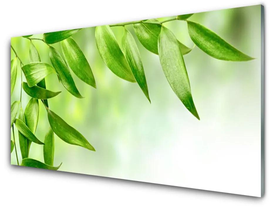 Obraz na skle Zelené Listy Příroda 120x60 cm
