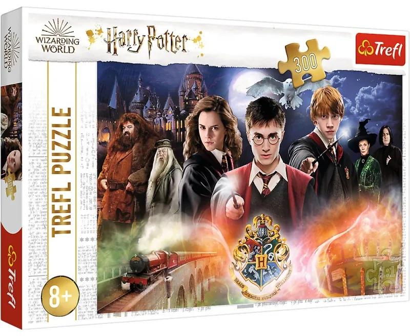 23001 Dětské puzzle - Harry Potter - 300ks