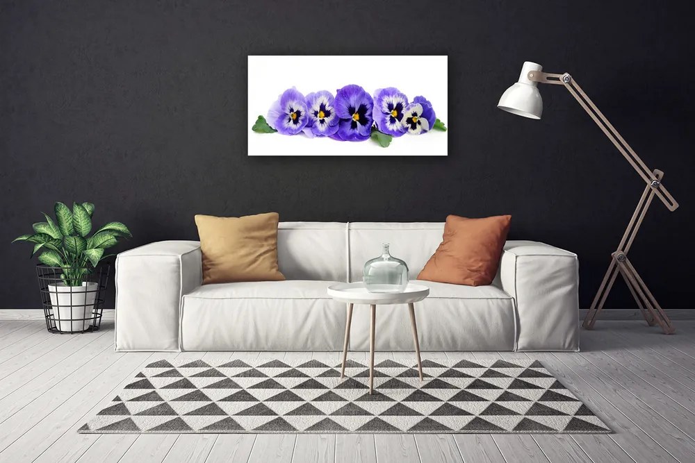 Obraz na plátně Plátky Květ Macešky 100x50 cm