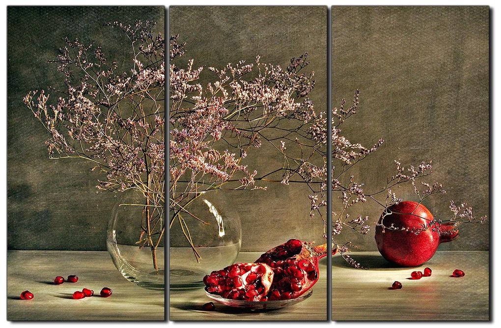Obraz na plátně - Zátiší - větev a granátové jablko 1274B (120x80 cm)
