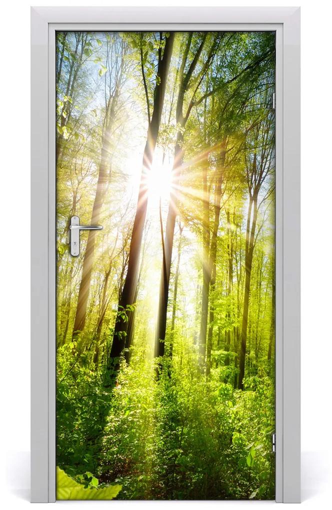 Fototapeta na dveře samolepící slunce v lese | BIANO