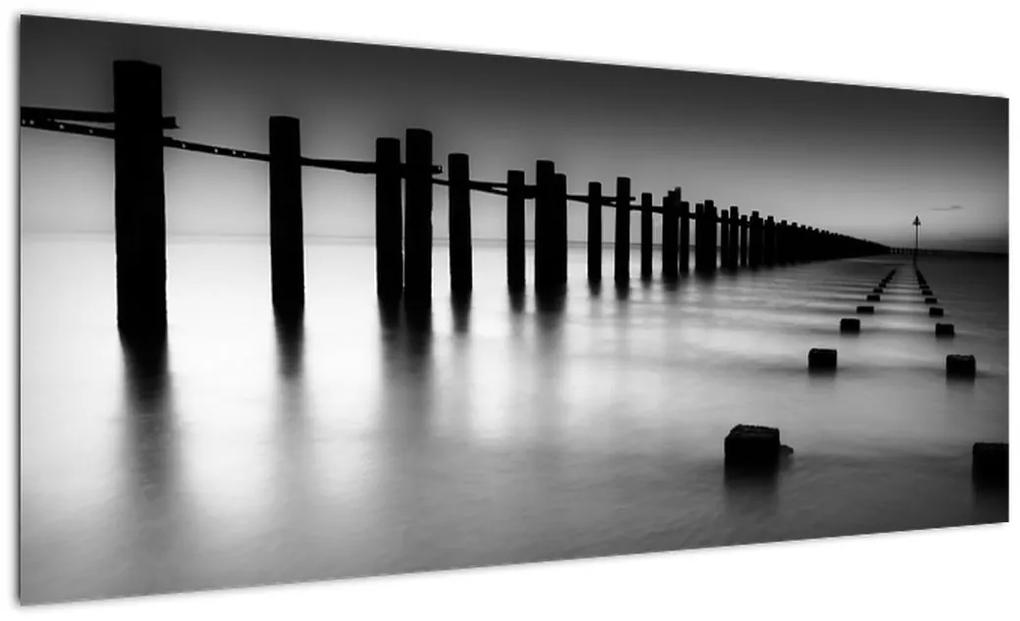Černobílé moře - obraz (100x40cm)