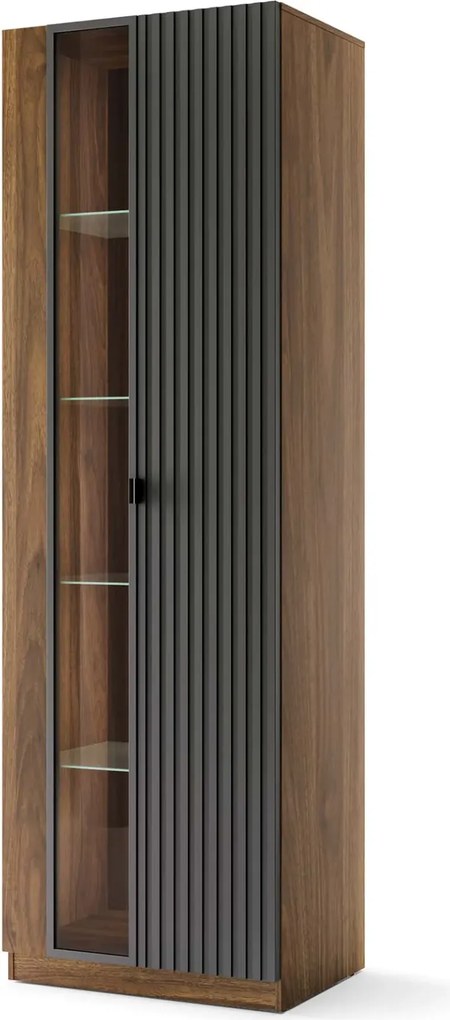 Vitrína s LED osvětlením Radium 11 68 cm ořech Columbia/černá