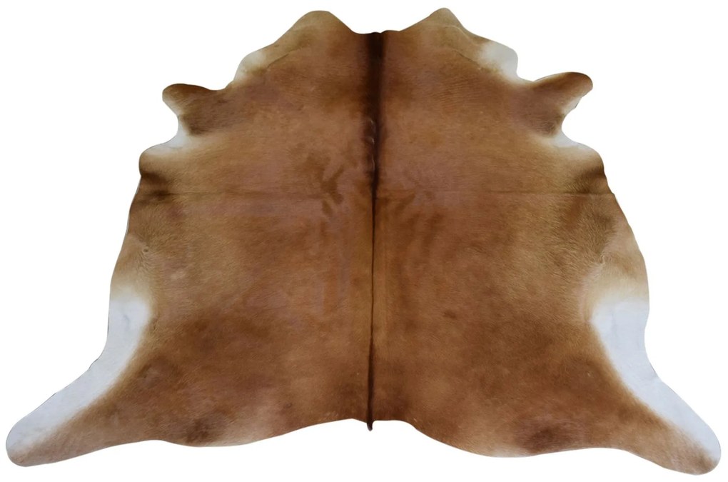 Hnědý koberec z hovězí kůže Cowhide brown - 200*0,5*240cm/3-4m²