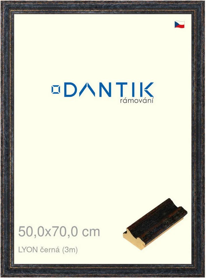 DANTIK rámeček 50x70 | LYON černá (Plexi Čiré)