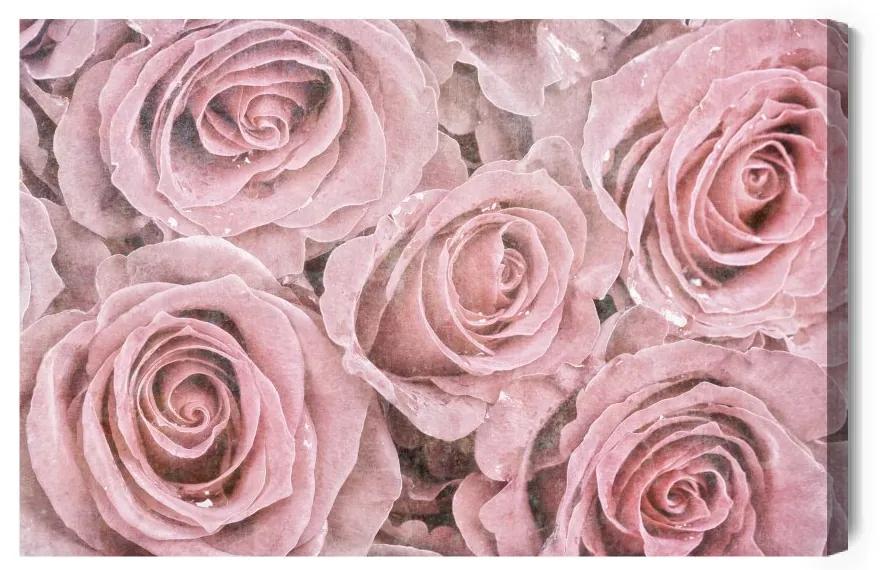 Obraz Krásné Vintage Růže Nedostatek Nedostatek Plátno Canvas 120x80