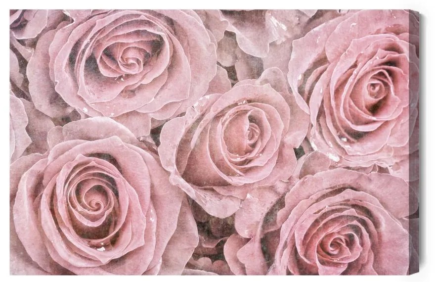 Obraz Krásné Vintage Růže Nedostatek Nedostatek Přírodní plátno 90x60