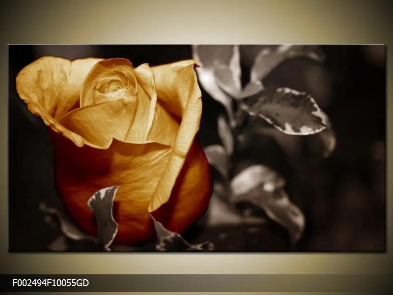 Obraz květu zlaté růže (), 40 dalších rozměrů