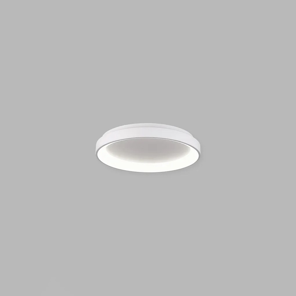 Minimalistické kruhové stropní svítidlo Bella Slim Ceiling  Minimalistické kruhové stropní svítidlo Bella Slim Ceiling Barva: Bílá, Průměr: 480 mm,…