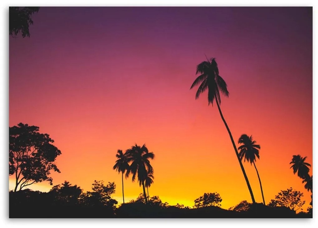 Obraz na plátně Palmy Západ slunce Moře - 100x70 cm