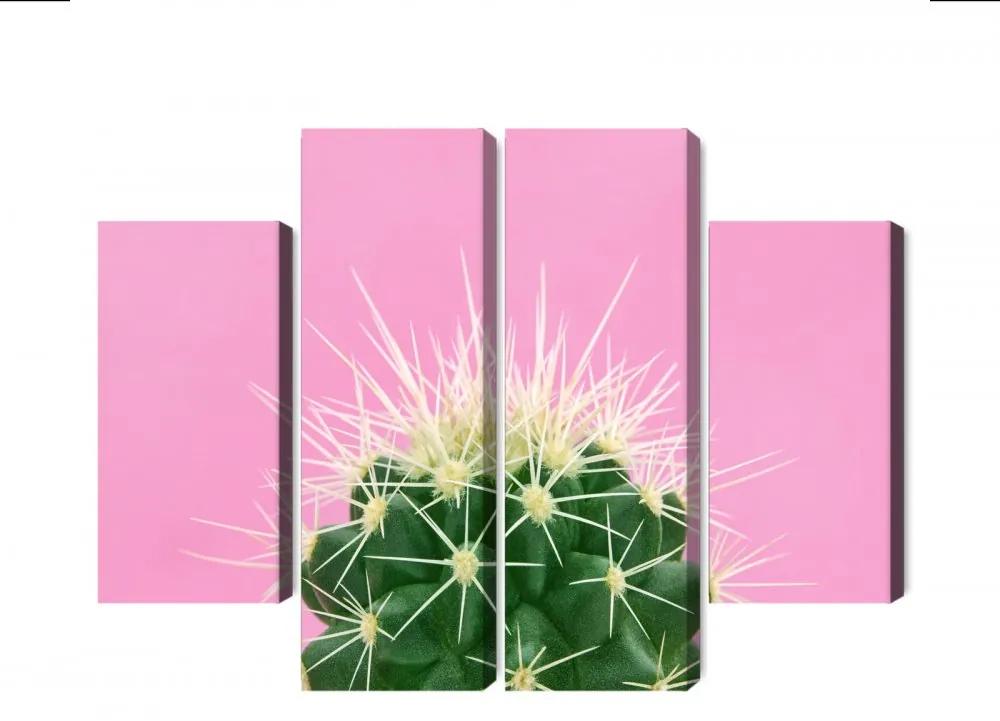 Vícedílný obraz Kaktus Na Růžovém Pozadí Nedostatek Nedostatek Přírodní plátno 80x60