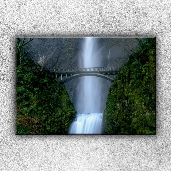 Obraz na zeď Most u vodopádu