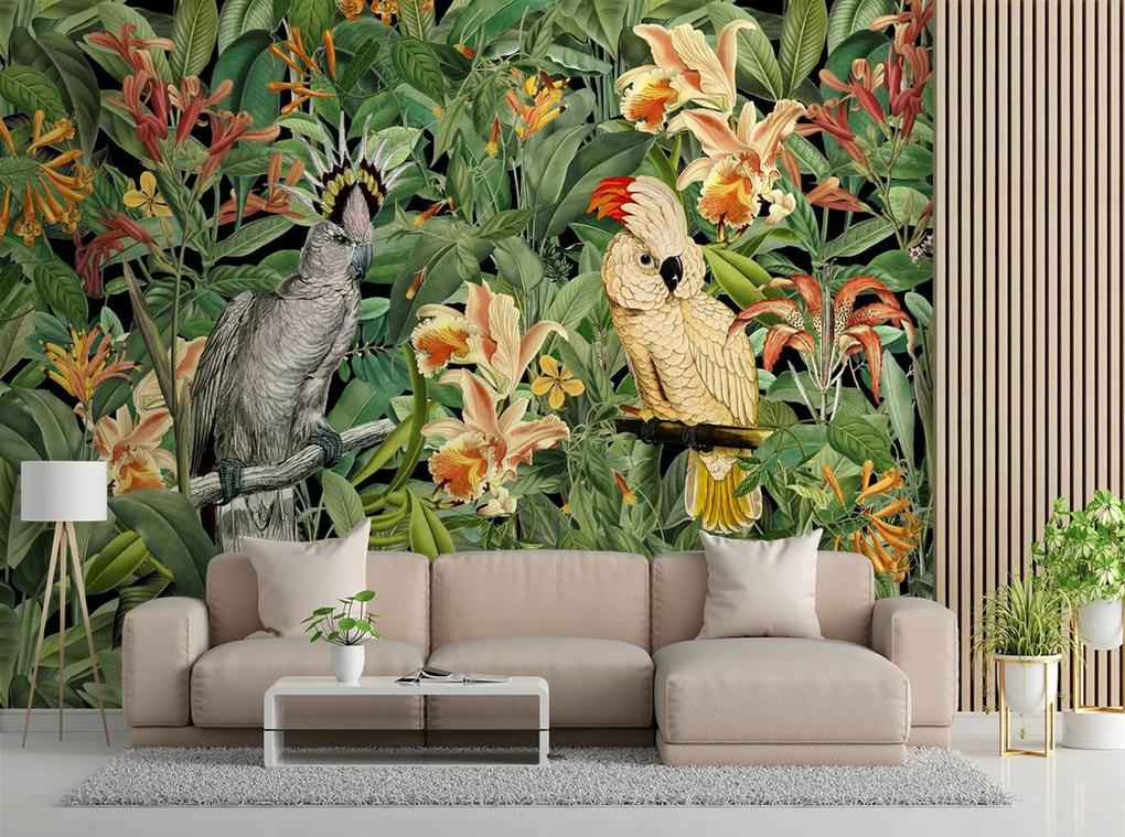 Gario Fototapeta Dva tropickí papoušci - Andrea Haase Materiál: Vliesová, Rozměry: 200 x 140 cm