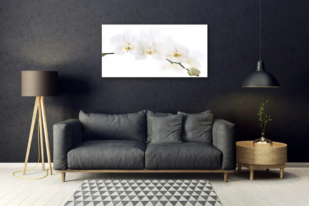 Obraz na skle Květíny Rostlina 120x60 cm