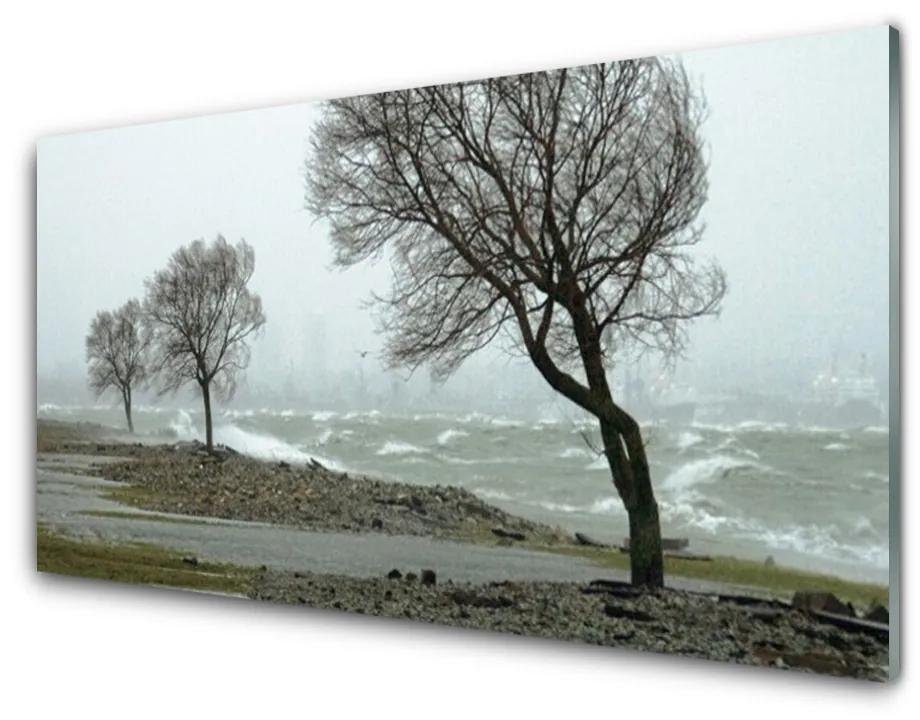 Plexisklo-obraz Moře Bouře Vlny 100x50 cm