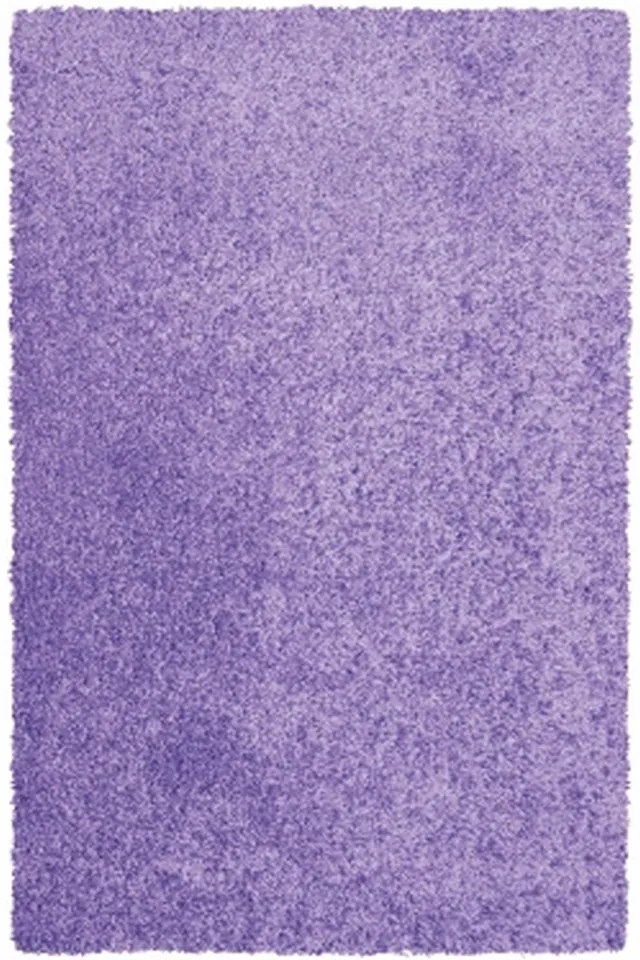 Chlupatý kusový koberec Rio 01LLL | fialový Typ: 140x200 cm