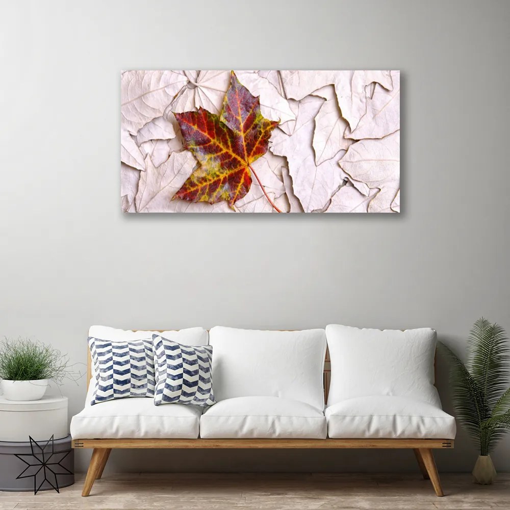 Obraz na plátně Listy Rostlina 140x70 cm