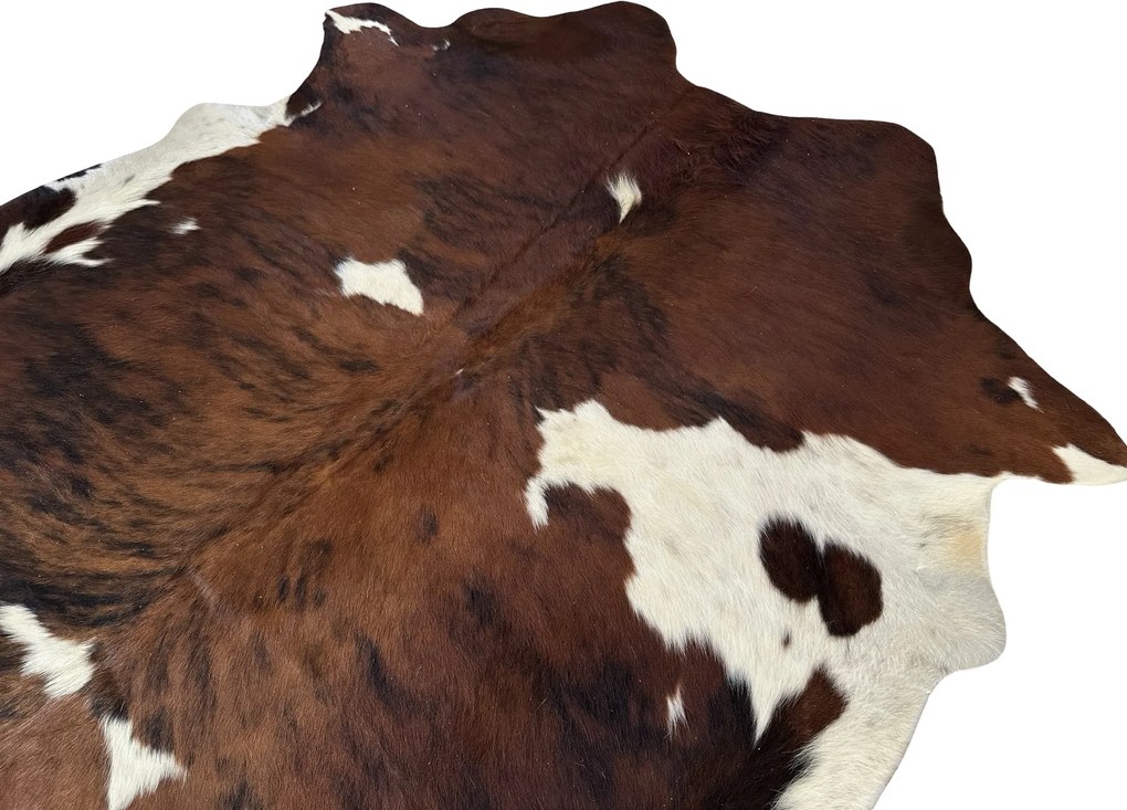 Koberec kusový hovězí kůže 3,2 m2, exotic tricolor 1032