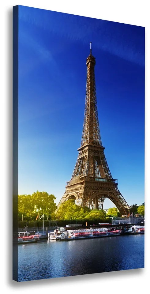 Wallmuralia Foto obraz na plátně Eiffelová věž Paříž 50x100 cm