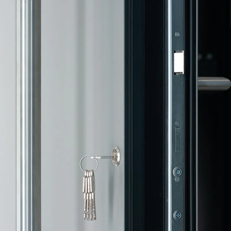 Hliníkové vchodové dveře FM Turen Premium P90 M02 šedá/bílá RAL9007/9016 Orientace dveří: Levé, otevírání dovnitř, Standardní rozměr dveří včetně rámu: 100 cm x 200 cm - vnější rozměr rámu