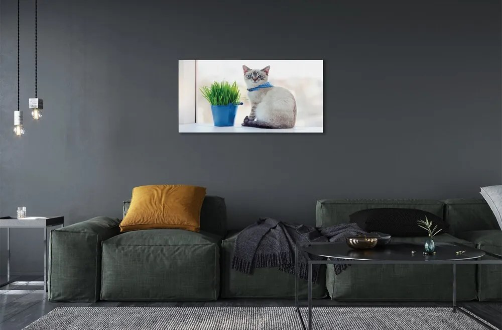 Obraz na skle sedící kočka 140x70 cm