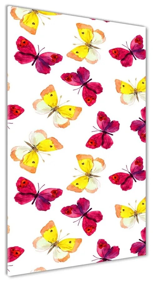 Wallmuralia Fotoobraz na skle Barevní motýli 60x120 cm