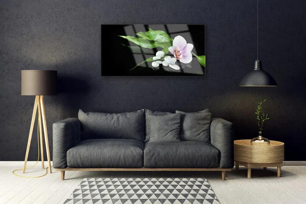 akrylový obraz Květ Kameny Listí 100x50 cm