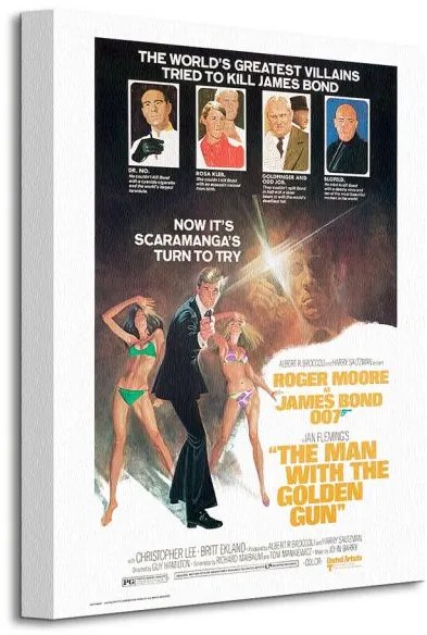 Art Group Obraz na plátně James Bond (The Man With The Golden Gun) Velikost: 30 x 40 cm