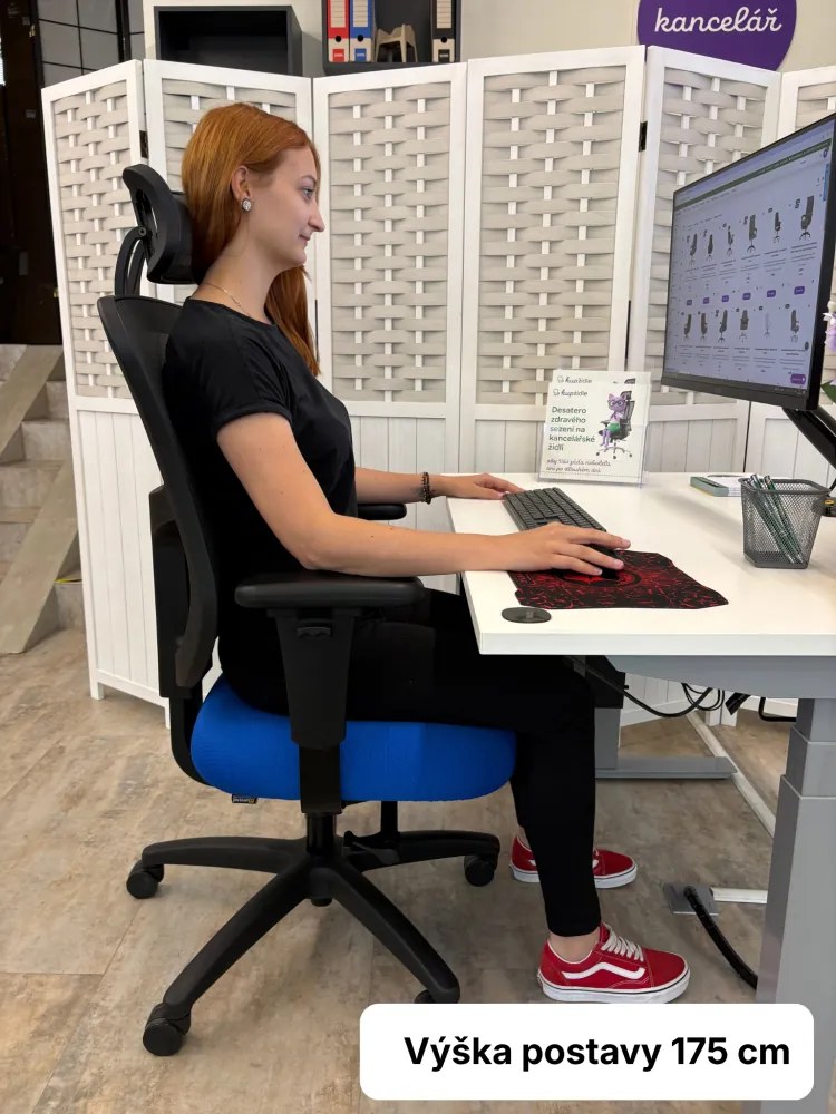 Office Pro Kancelářská ergonomická židle NATUS Q24 – síťovaná, nosnost 180 kg, záruka 3 roky modrá