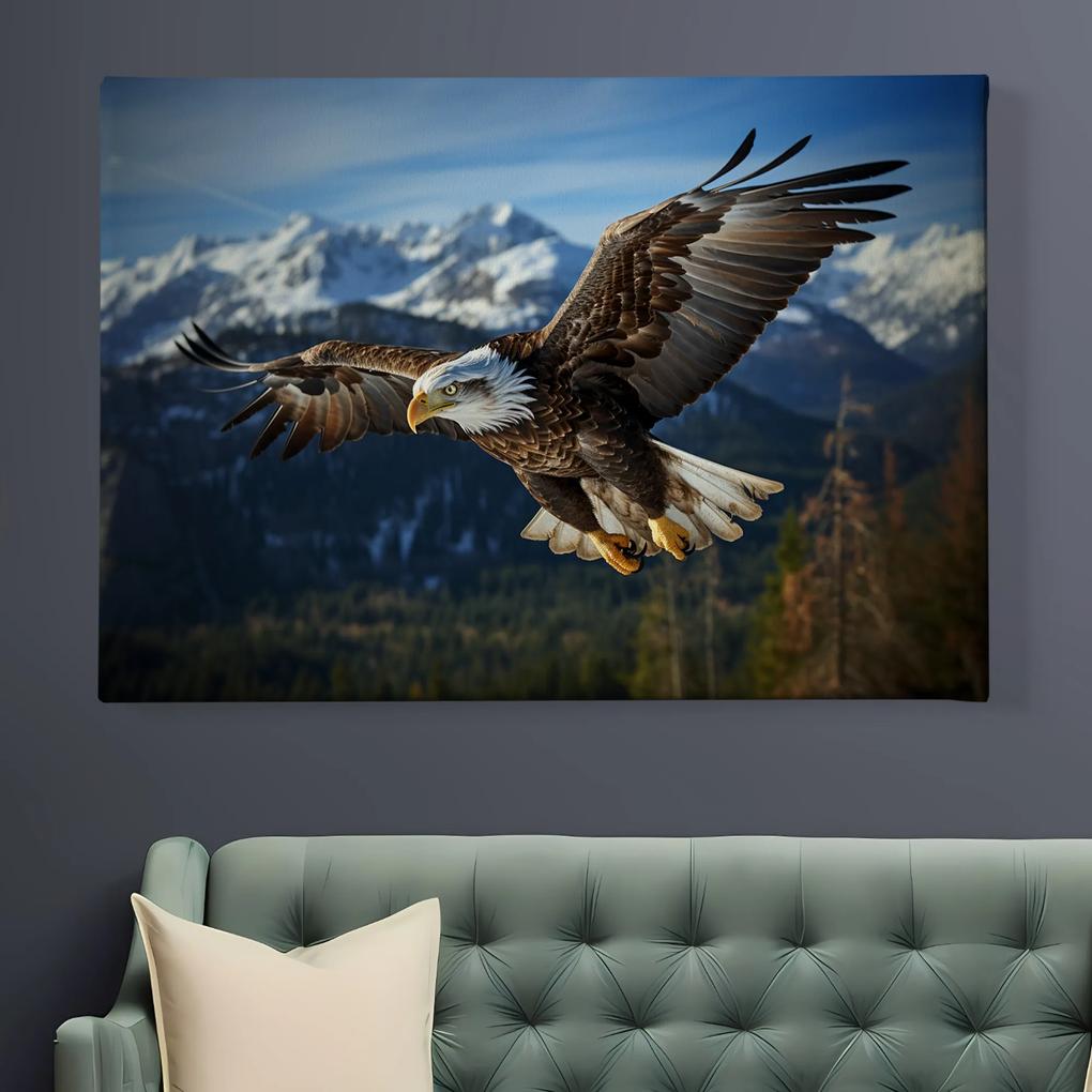 Obraz na plátně - Orel bělohlavý letí v horách FeelHappy.cz Velikost obrazu: 60 x 40 cm