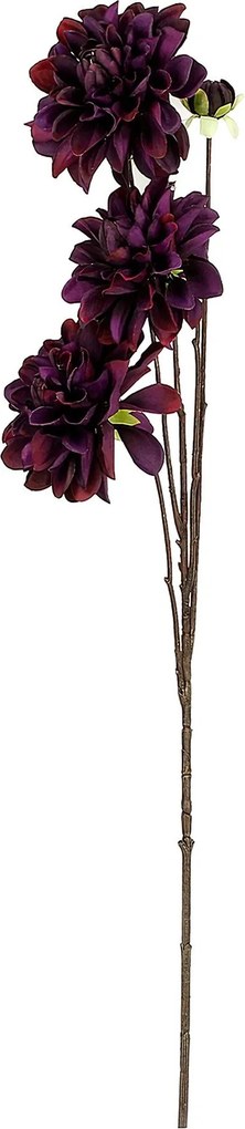 Větevicka dahlie 90 cm