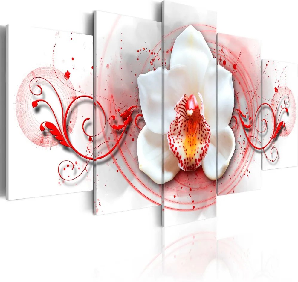 Obraz na plátně Bimago - Orchid - expression of redness 100x50 cm