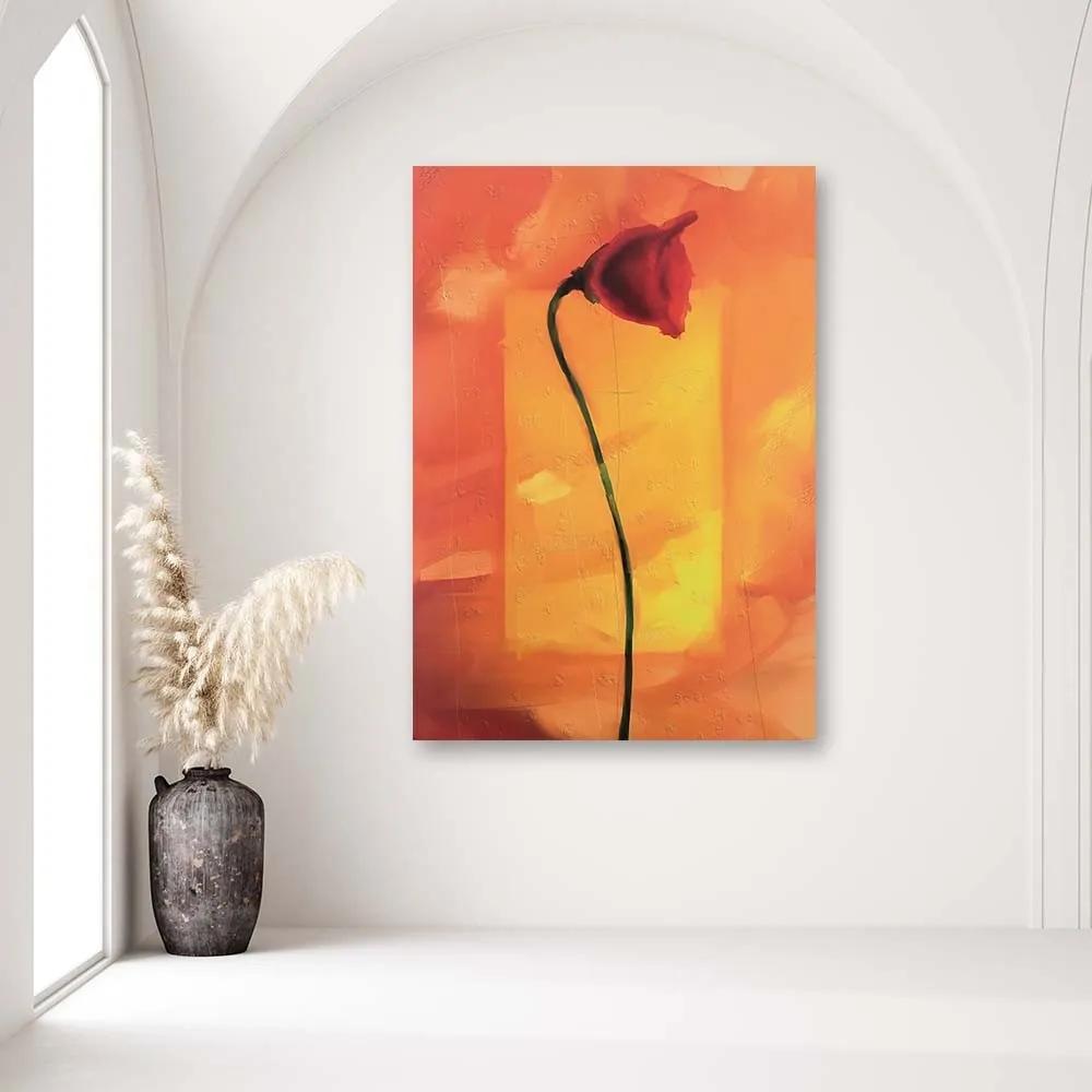 Obraz na plátně Mák Červený květ Příroda - 80x120 cm