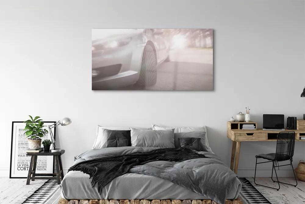 akrylový obraz Stříbrné auto street tree 140x70 cm