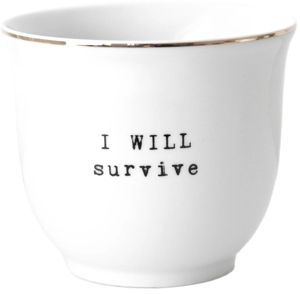 Bella Rose Porcelánový obal na květináč I will survive 13 cm, bílá barva, zlatá barva, porcelán