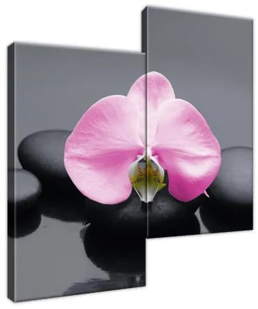 Tištěný obraz Růžová orchidej a kameny 60x60cm 2010A_2J