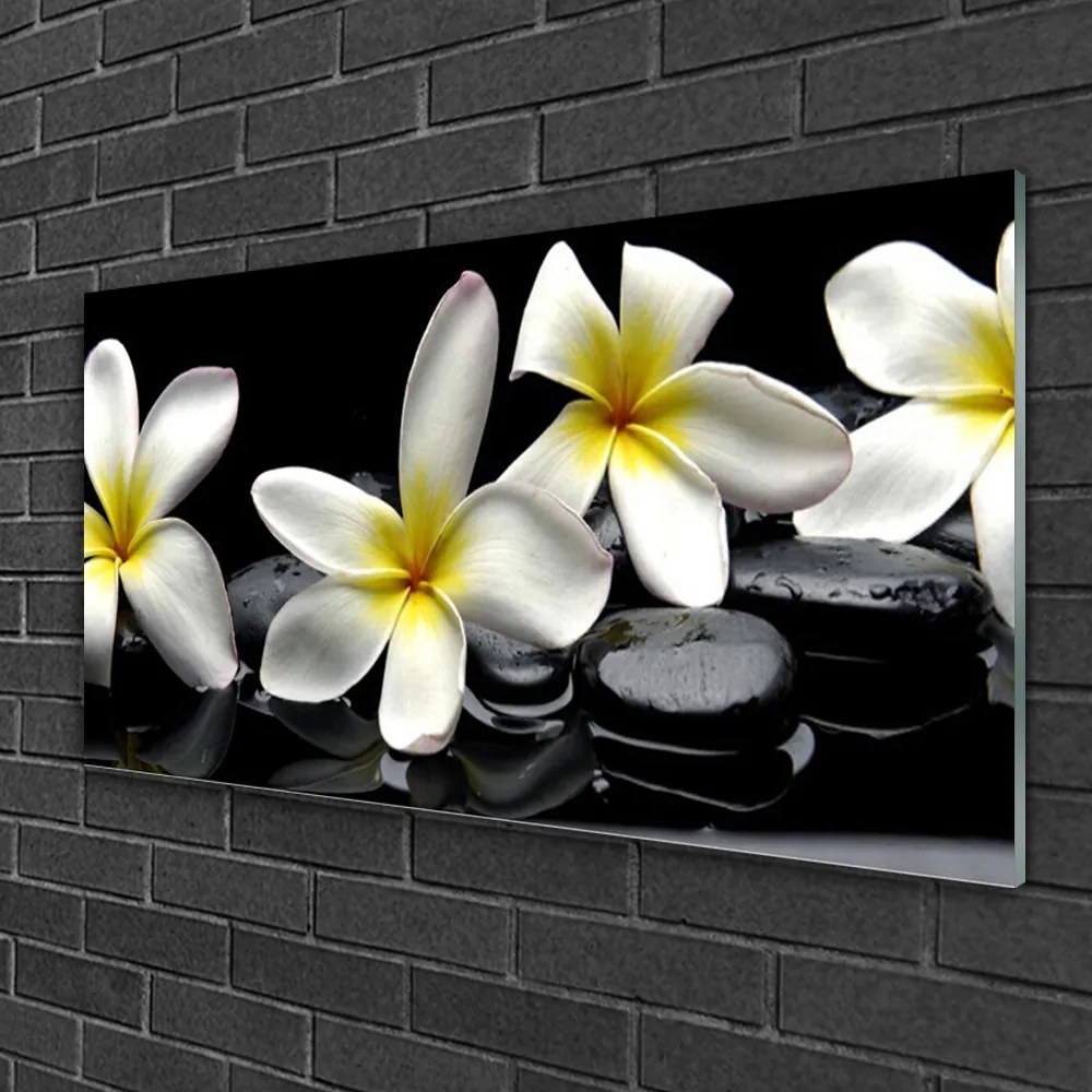 Obraz na skle Kameny Květiny Lázně 125x50 cm