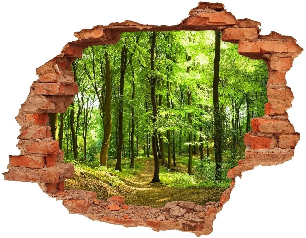 Wallmuralia Díra 3D ve zdi nálepka Lesní stezka 90x70 cm