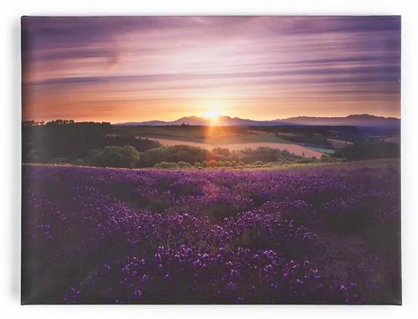 Obraz Levandule 40-886, Lavender Sunset, Wall Art, Graham Brown