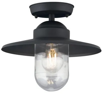 Orion AL 11-1317 - Venkovní přisazený lustr EDWARD 1xE27/60W/230V IP44 antracit