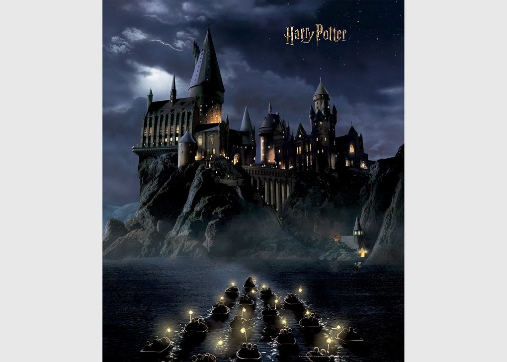 Dětská vliesová fototapeta na zed' Harry Potter | 225 x 270 cm | DFTD3P5175
