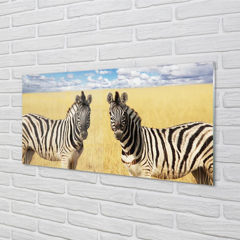 akrylový obraz zebra box 125x50 cm