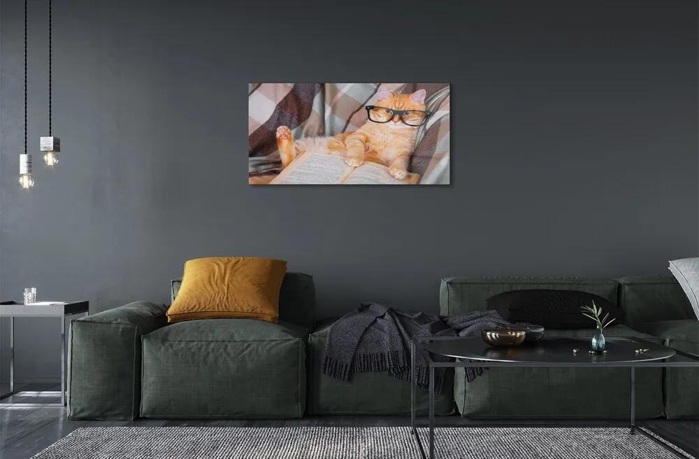 Obraz na skle Čtenář cat 120x60 cm