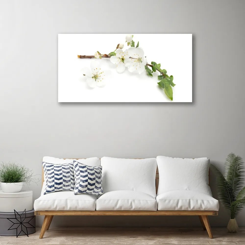 akrylový obraz Květ Větev Příroda 100x50 cm