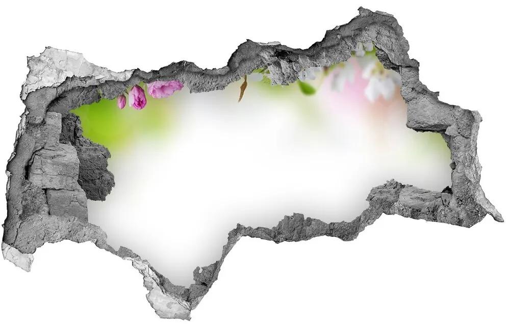 Wallmuralia Samolepící díra nálepka Jarní květiny 95x73 cm