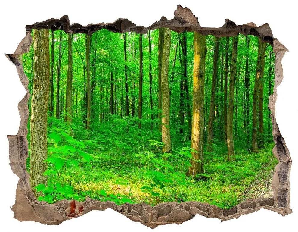 Wallmuralia Samolepící díra nálepka Stromy v lese 95x64 cm