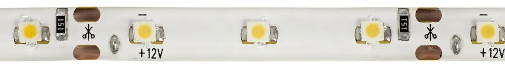 ECOLIGHT LED pásek - SMD 2835 - 1m - 60LED/m - 4,8W/m - IP20 - studená bílá