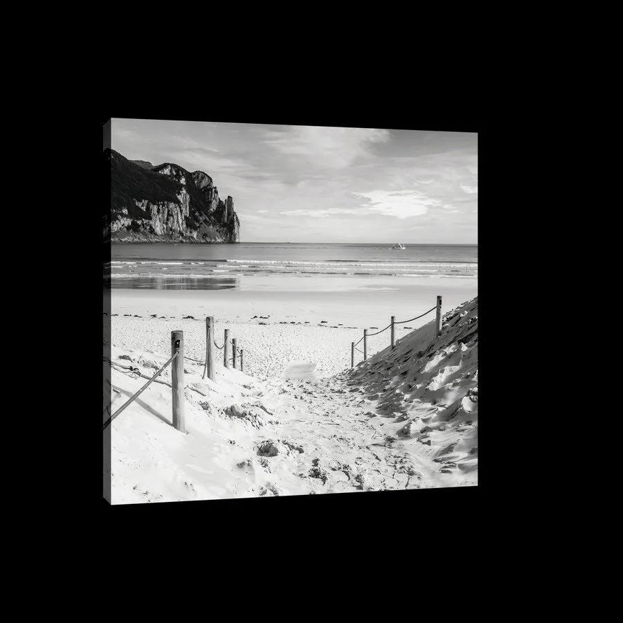 Postershop Obraz na plátně: Písčitá pláž (černobílá) - 75x100 cm
