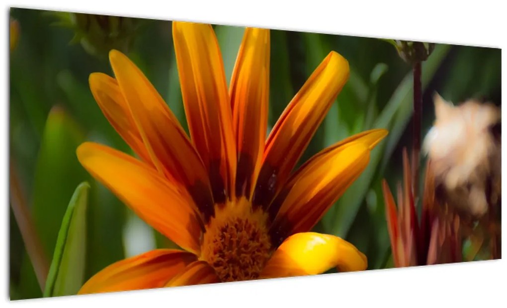 Obraz detailu květiny (100x40cm)